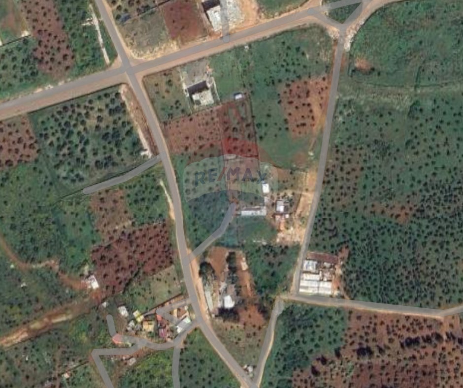 Land for Sale in Abou Samra Tripoli – 1,627 m² with Road, Electricity ...